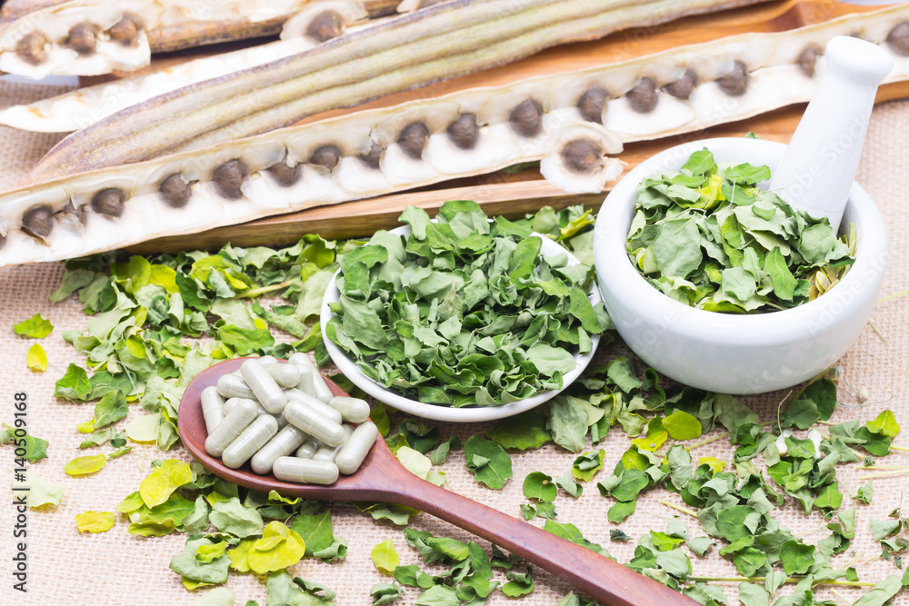 Leaves of the Bitter cucumber-chinese (Moringa oleifera Lam.) Processed ...