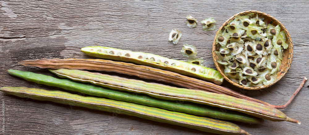Moringa Oleifera seeds and fruit. The asian herbs have medicinal ...