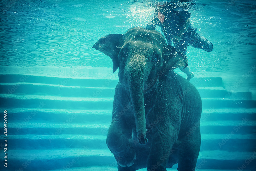 Underwater Elephant