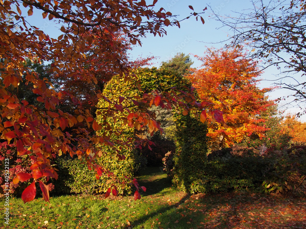 Arboretum de la Vallée aux loups - Châtenay-Malabry Stock Photo | Adobe ...