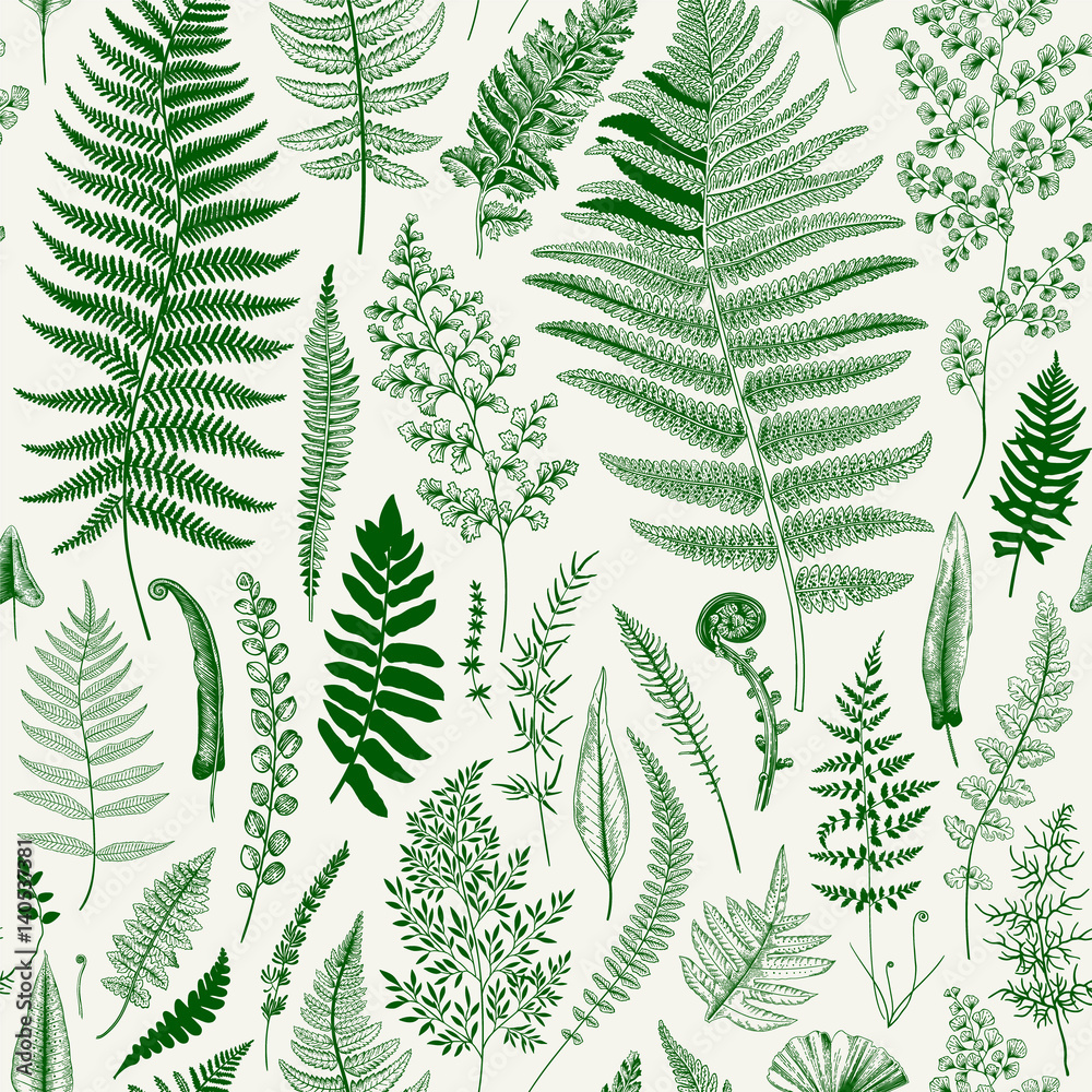 Seamless pattern. Ferns. Vintage vector botanical illustration. Green Stock Vector | Adobe Stock