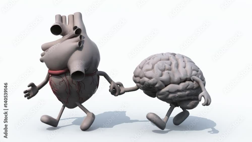 human heart and brain that walk hand in hand, 3d animation loop Stock ...