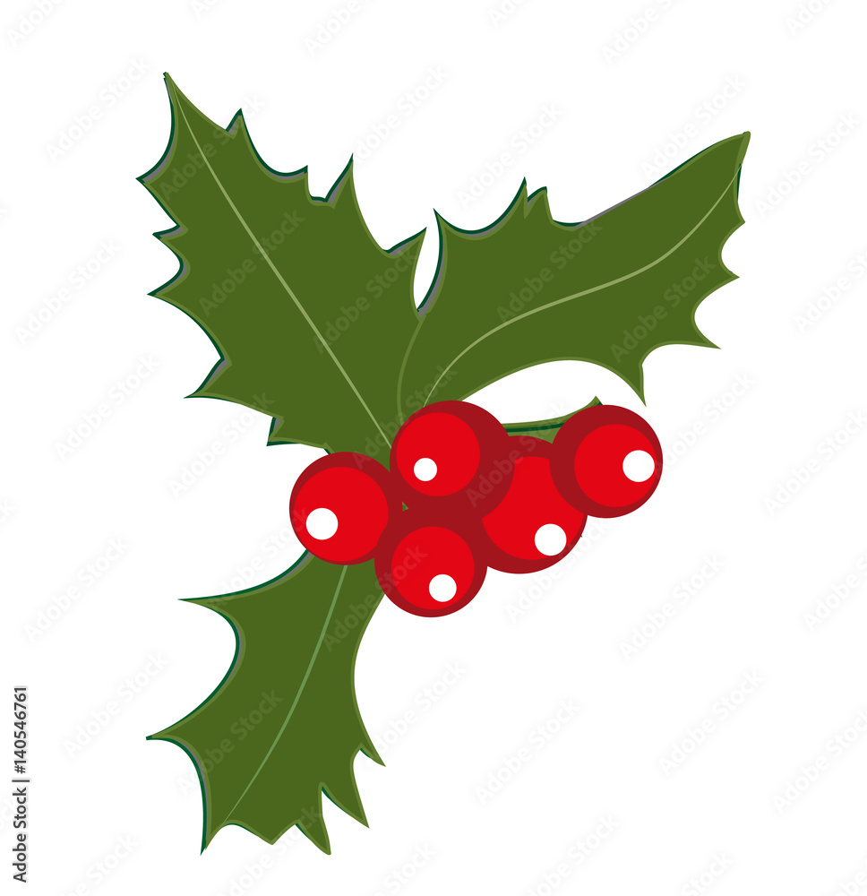 Houx, symbole de Noël Illustration Stock | Adobe Stock