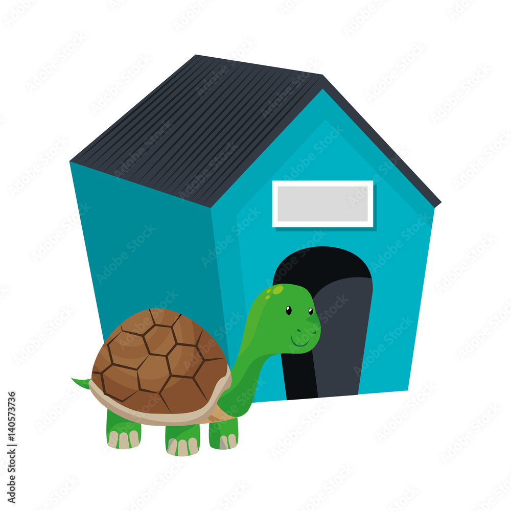 cute turtle pet isolated icon vector illustration design Stock Vector ...