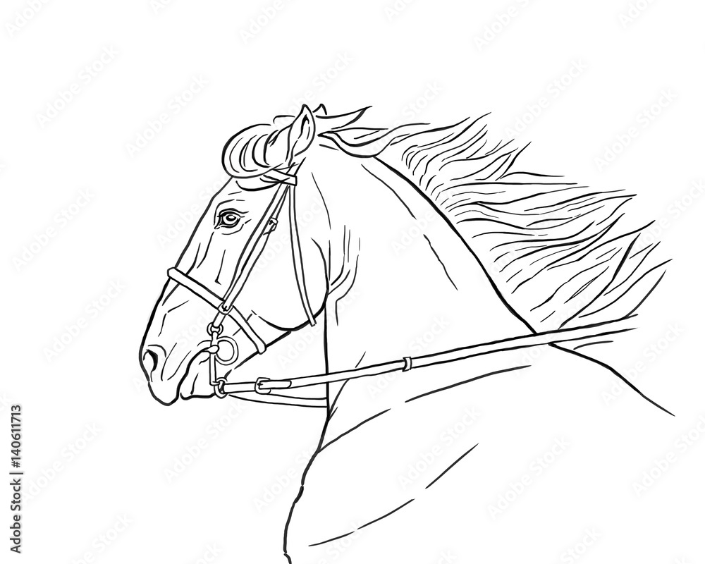 Running Horse Head Outline