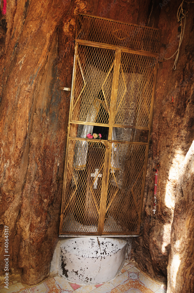 Keren in Eritrea with Shrine of St. Mariam Dearit inside a trunk of an ...