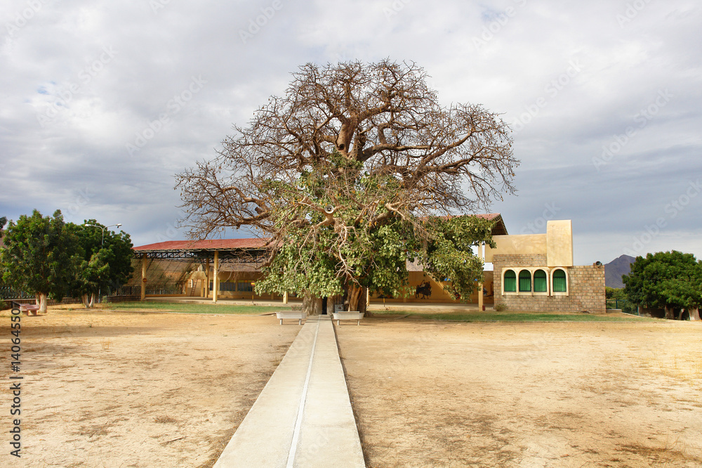 Keren in Eritrea with Shrine of St. Mariam Dearit inside a trunk of an ...
