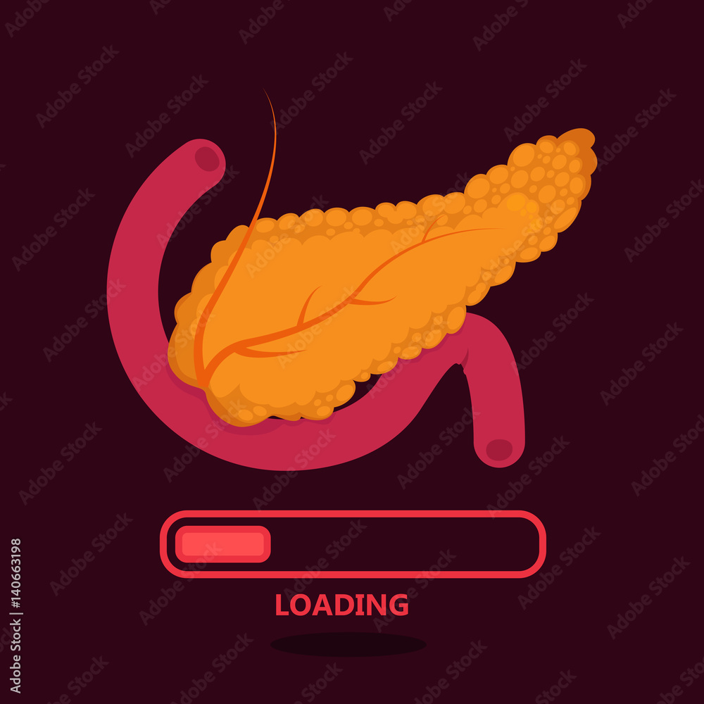 Pancreas vector illustration Stock Vector | Adobe Stock