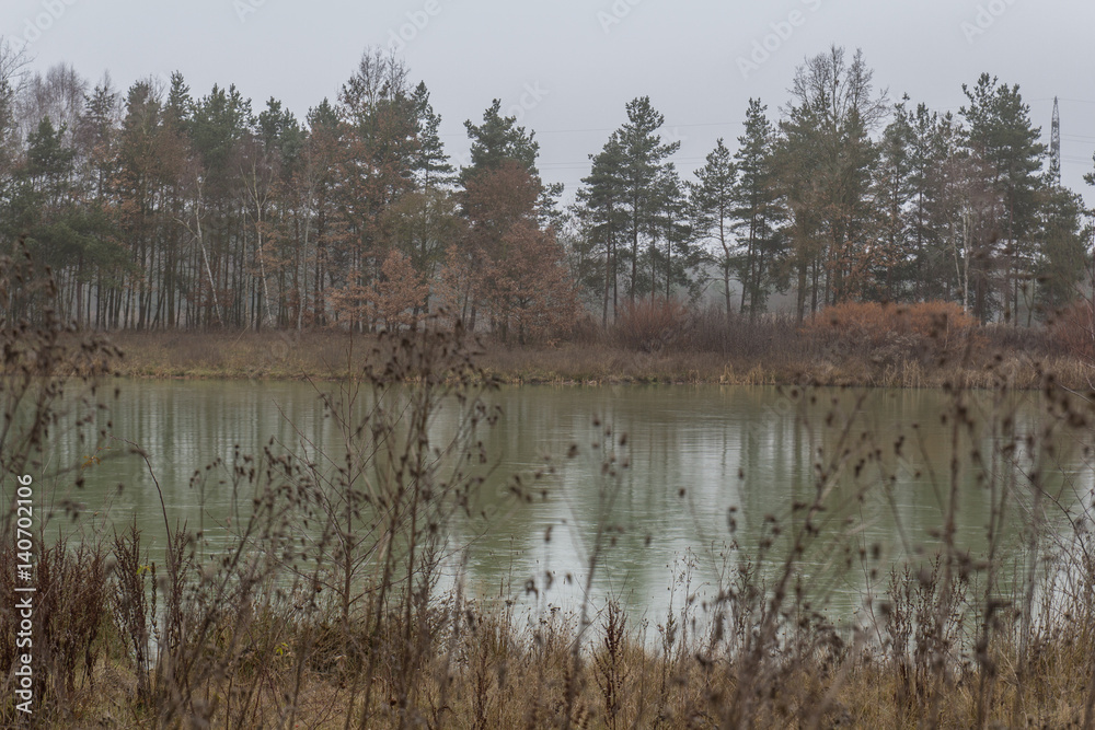 pond in spring Stock Photo | Adobe Stock