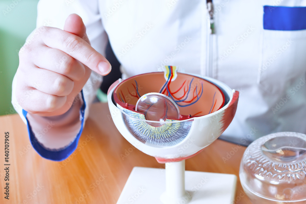 Ophthalmology oculus sample closeup. Ophthalmology, eye model close-up ...