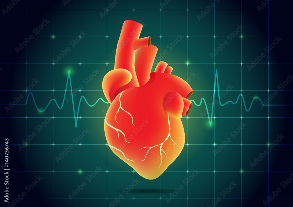 Human heart red color on pulse monitor background. Illustration about ...
