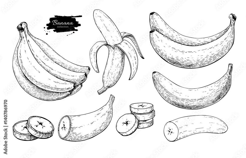 Vetor de Banana set vector drawing. Isolated hand drawn bunch, peel ...