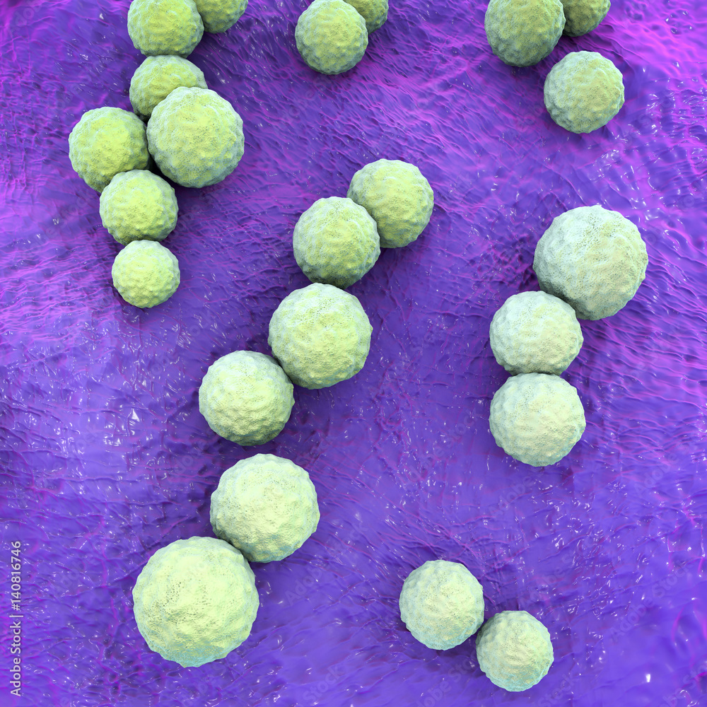 Streptococcus Mutans Bacteria Gram Positive Cocci Which Cause Dental Caries 3d Illustration