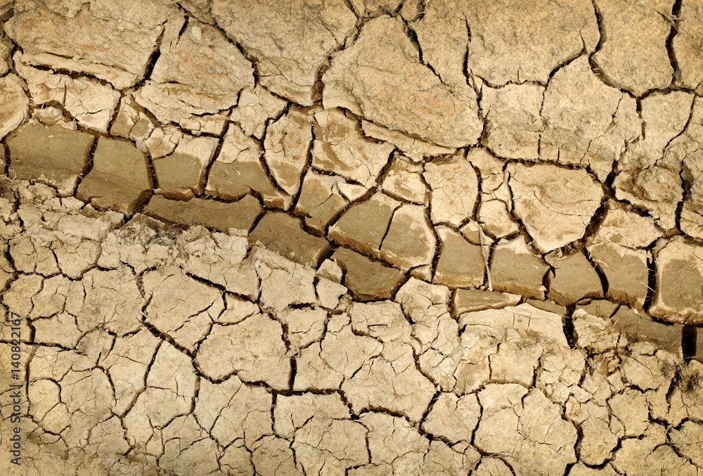 Dry cracked earth background, clay desert texture Stock Photo | Adobe Stock