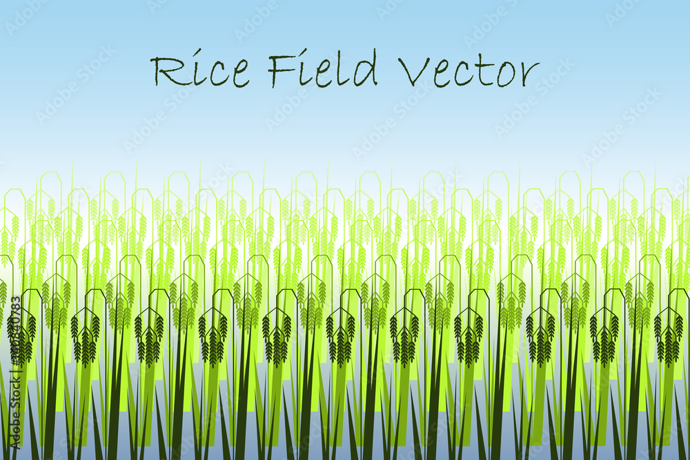 Vector illustration with stylized green rice paddy field. Stock Vector ...
