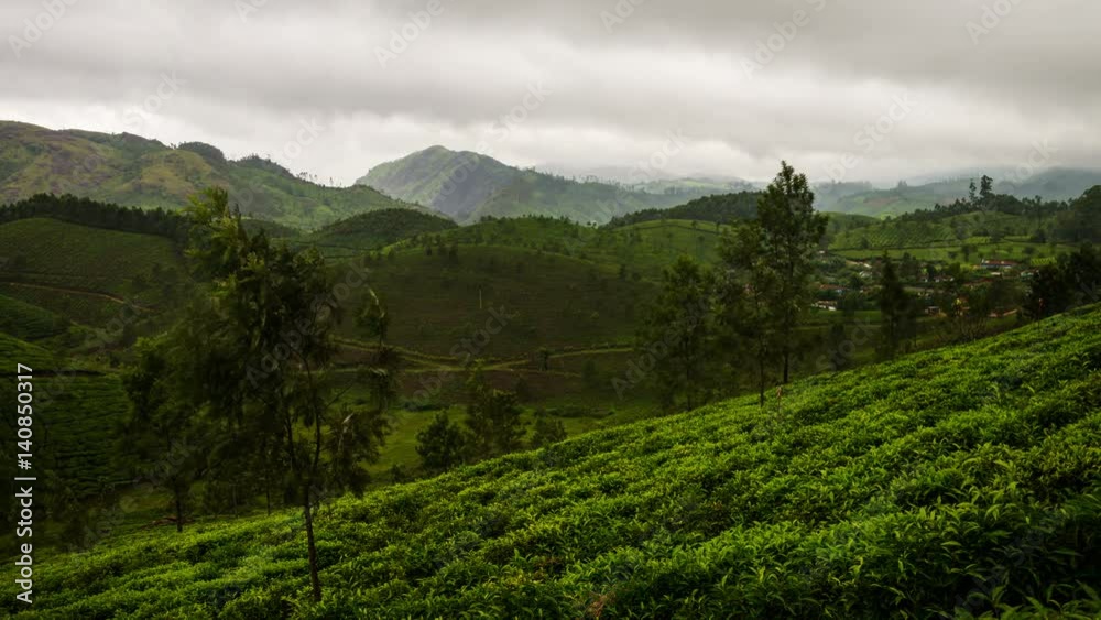 Tea plantations in Munnar, Kerala with cloudy sky and Western Ghats ...