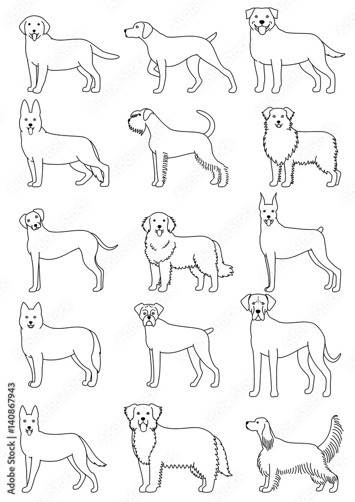 dog breeds line art set Stock Vector | Adobe Stock