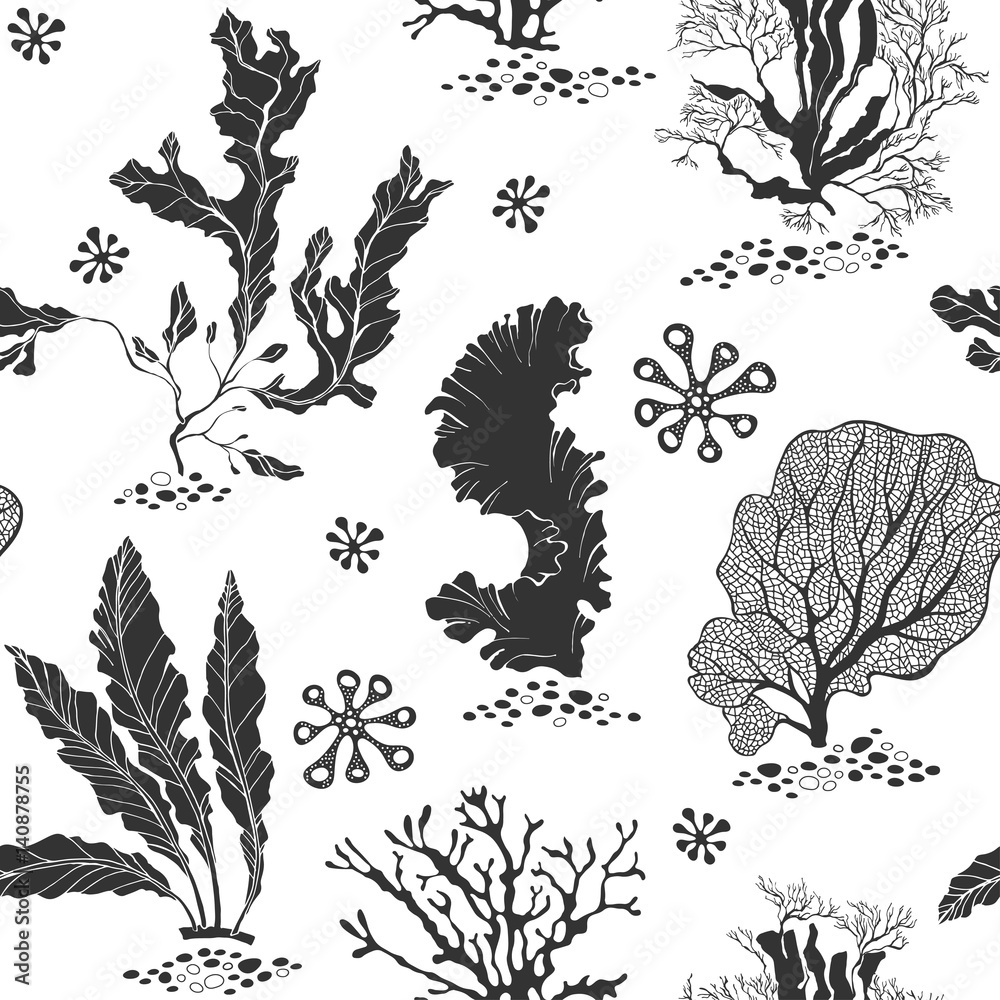 Seaweed. Seamless vector pattern with underwater plants. Black and ...