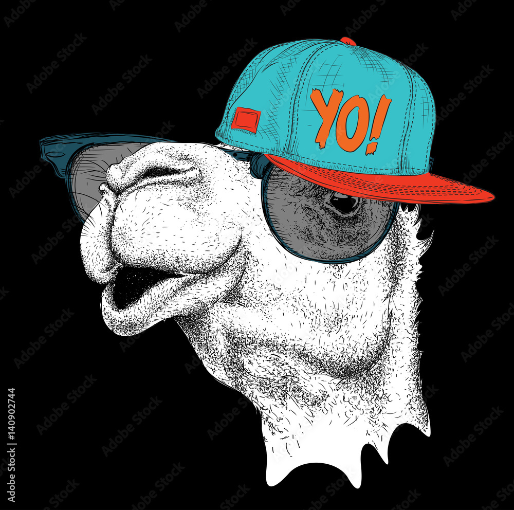 The image of the camel in the glasses and in hip-hop hat. Vector ...
