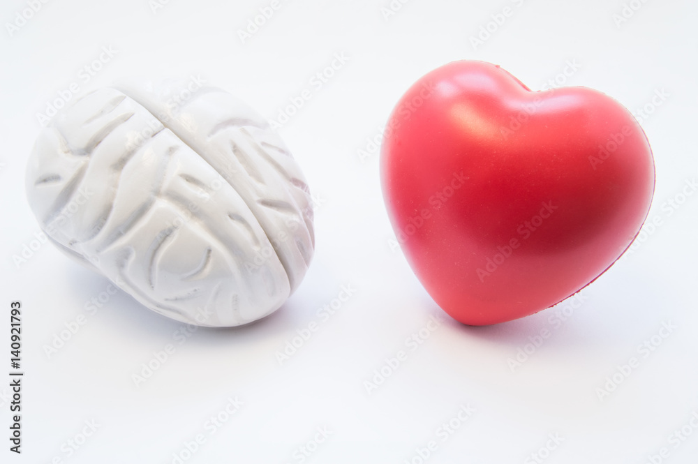 Heart and brain figures lie next to each other on white background ...
