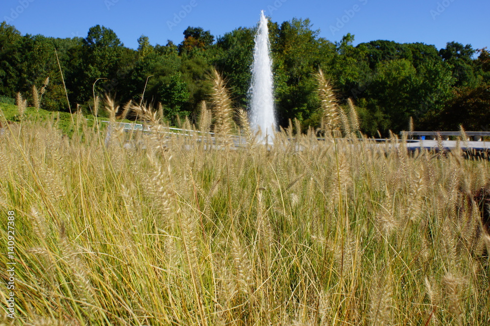 9-11 Garden of Reflection Stock Photo | Adobe Stock
