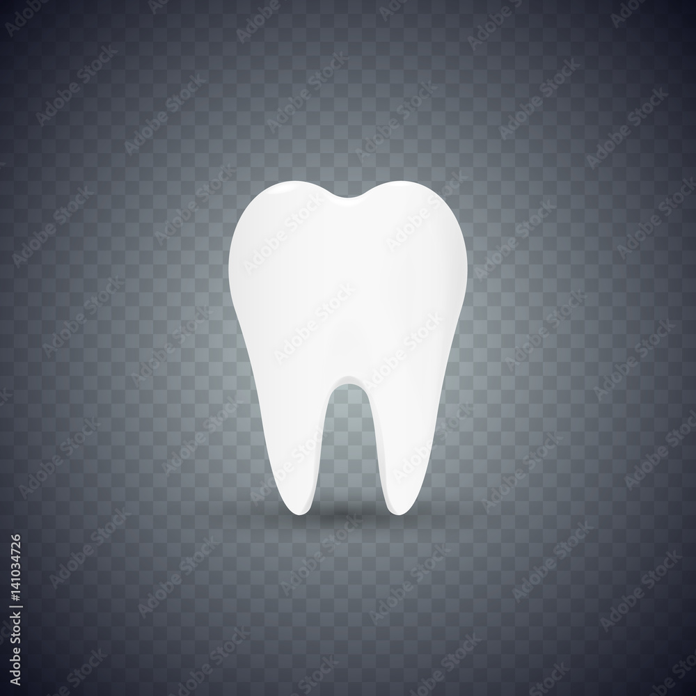 Realistic Teeth isolated on transparent background. Vector illustration ...