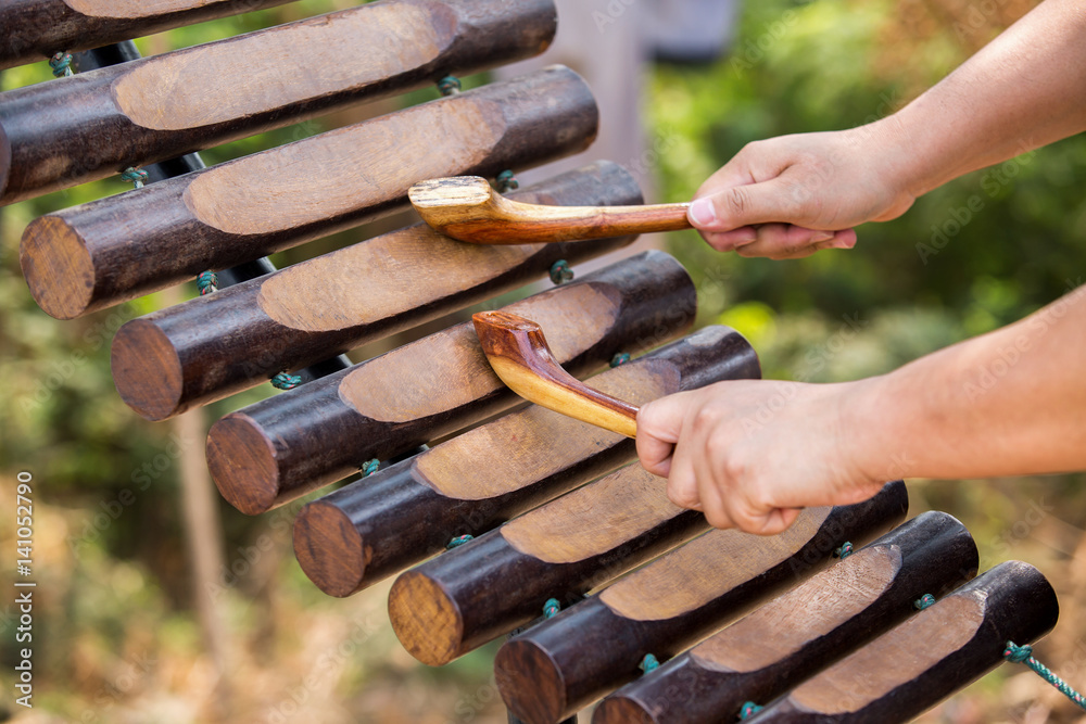 Pong Lang, Thai northeast region, The Thai musical instruments Stock ...