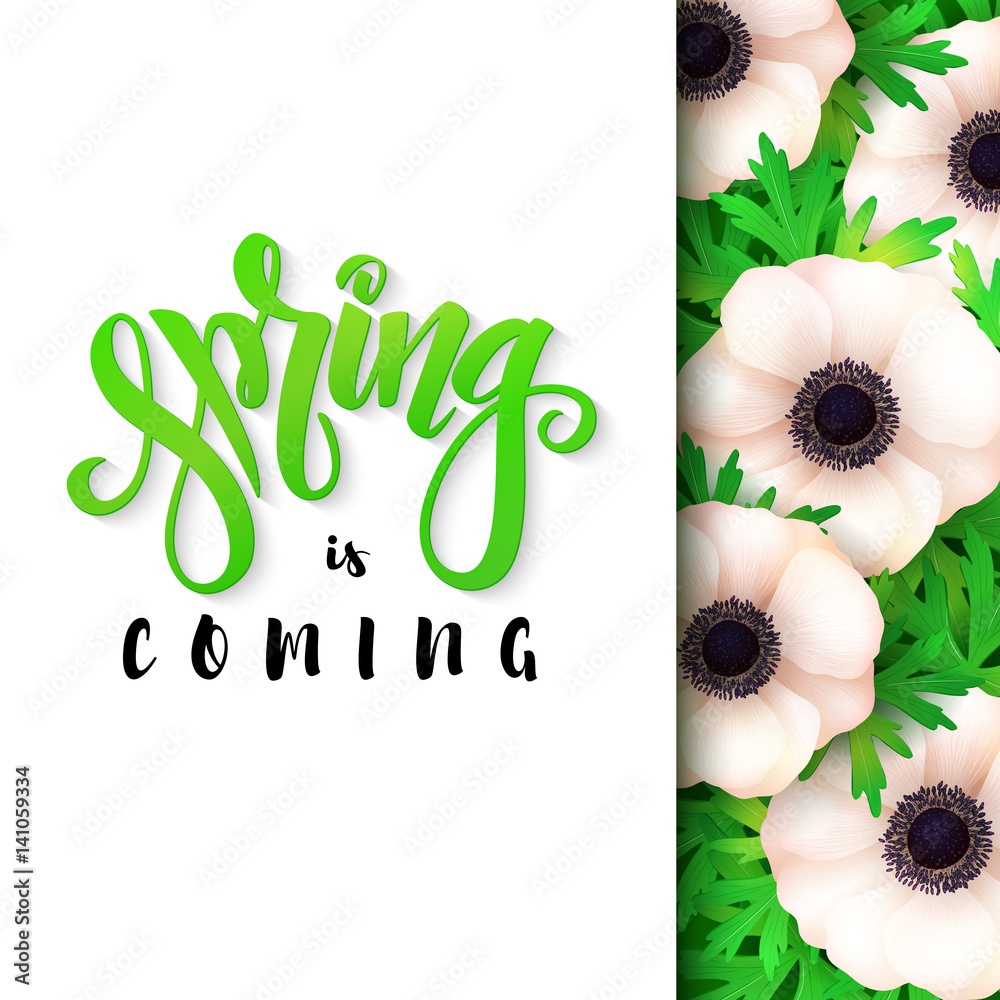 vector illustration of hand lettering poster - spring is coming with ...