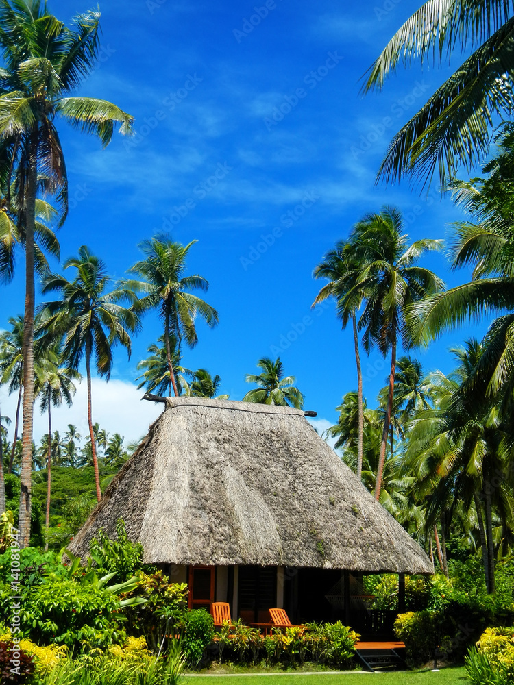Traditional house with thatched roof on Vanua Levu Island, Fiji Stock ...
