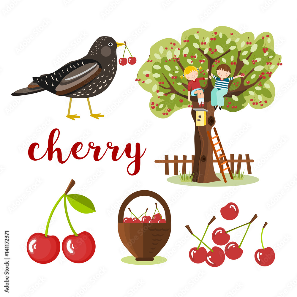 Cherry elements, vector illustration Stock Vector | Adobe Stock