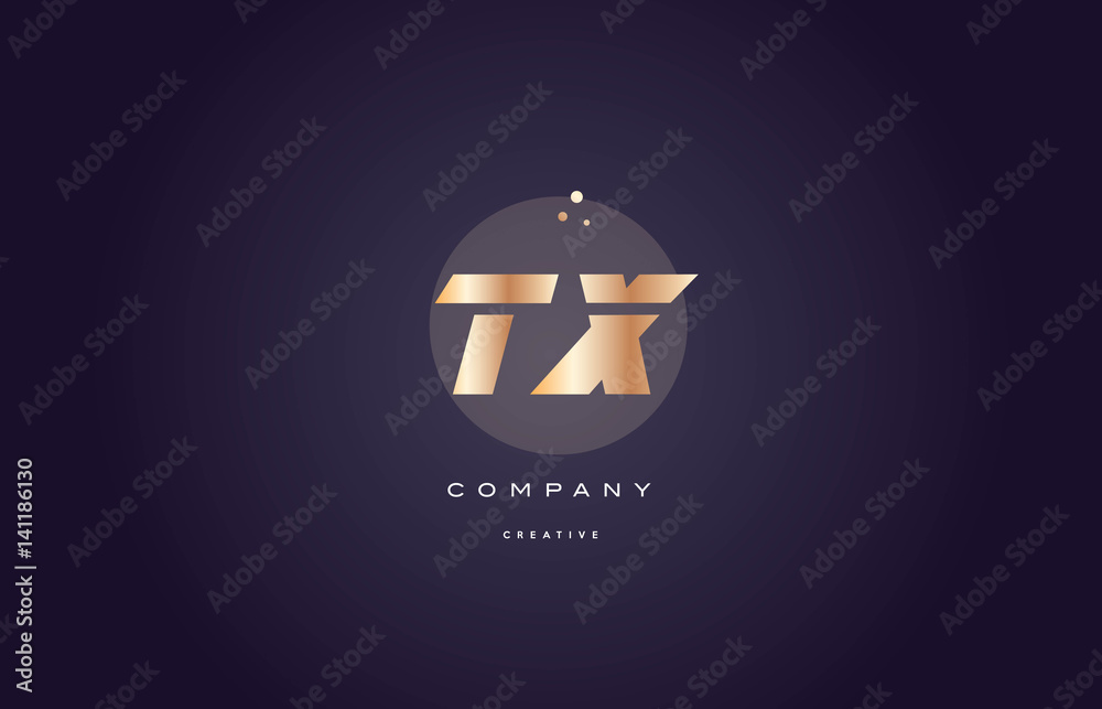 tx t x gold metal purple alphabet letter logo icon template Stock ...