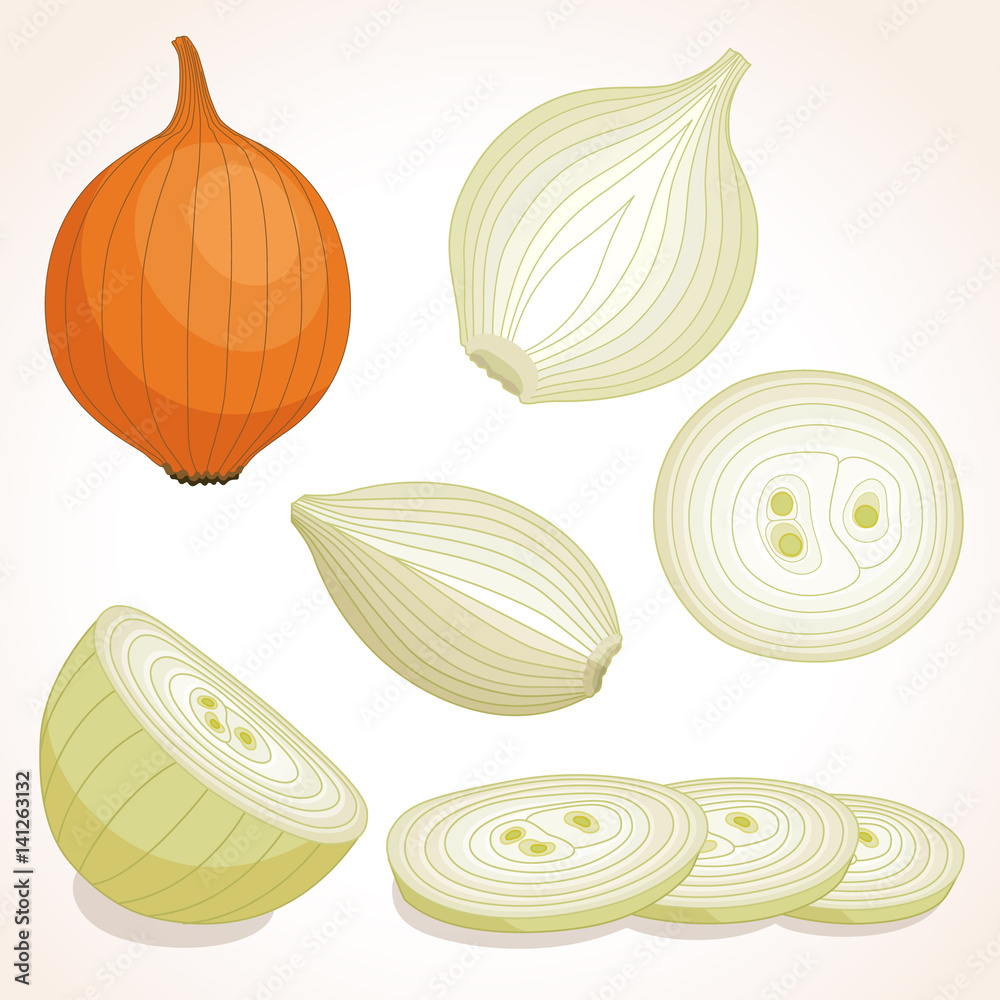 Onion Slice Illustration