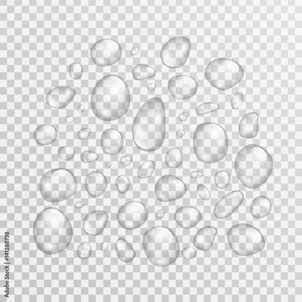 Vector isolated realistic water droplets on the transparent background ...