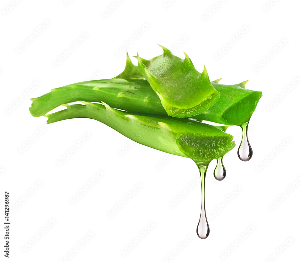 Essence from aloe vera plant drips from leaves, isolated on white ...