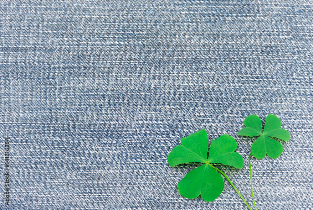 The leaves are heart-shaped clover trees. Place at right bottom on blue ...