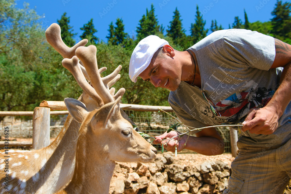 tourist man feeds deer in a zoo. The island of Zakynthos, Greece. Stone ...