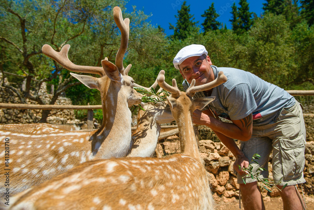 tourist man feeds deer in a zoo. The island of Zakynthos, Greece. Stone ...