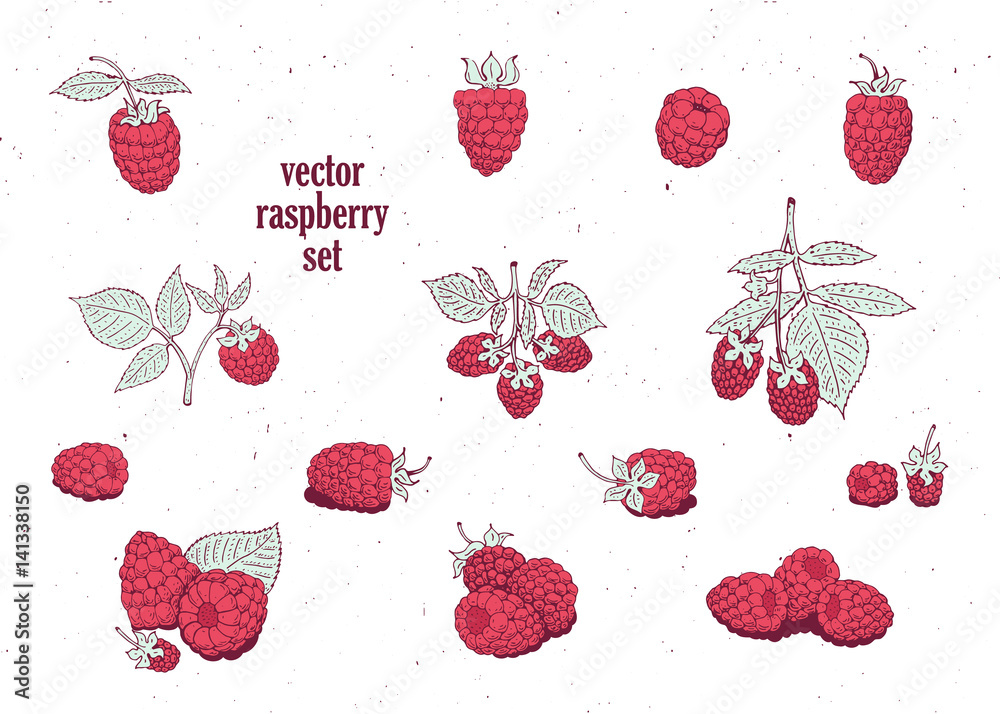vector raspberry set. Can be use for background, design, invitation ...