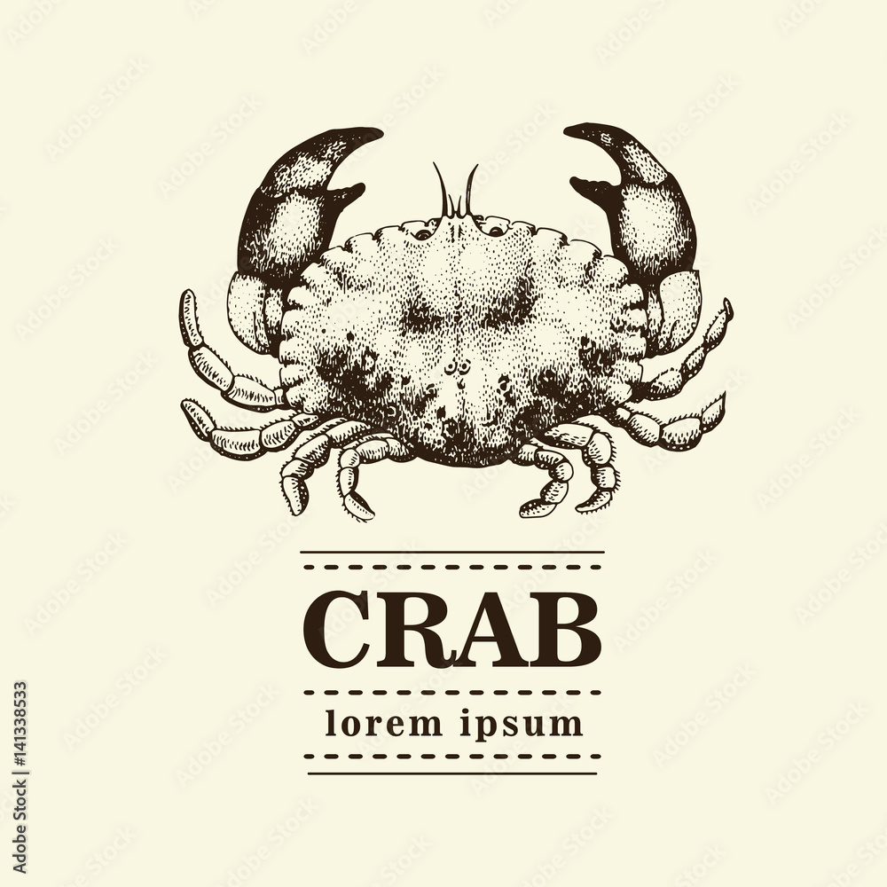 Vector seafood illustration with crab. Retro logo temtlate. Stock ...