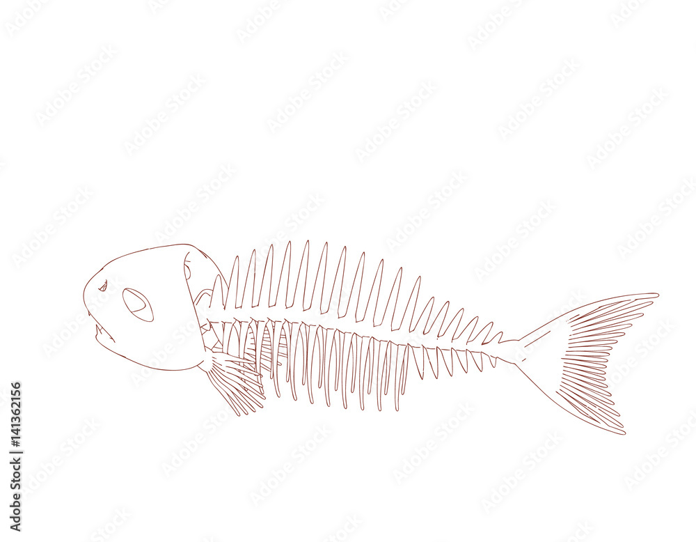 Fish skeleton. Isolated on white background. Vector outline ...