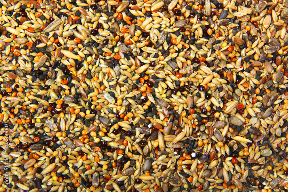 fodder for birds background Stock Photo | Adobe Stock