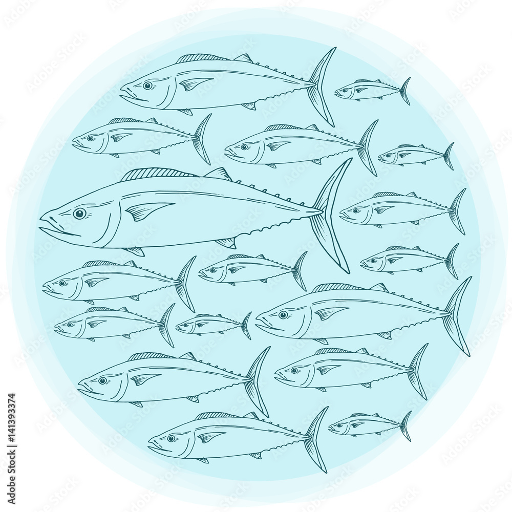Vector school of tuna fish hand drawn illustration. Ink outlines sketch ...