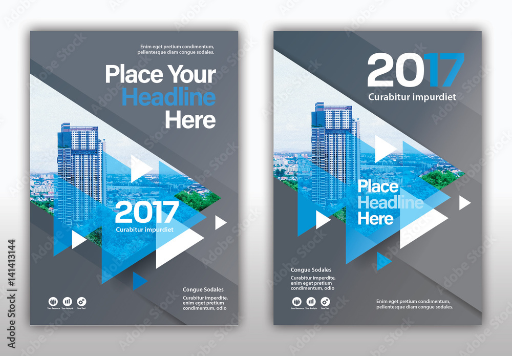 Book Cover Layout Set 65 Stock Template | Adobe Stock