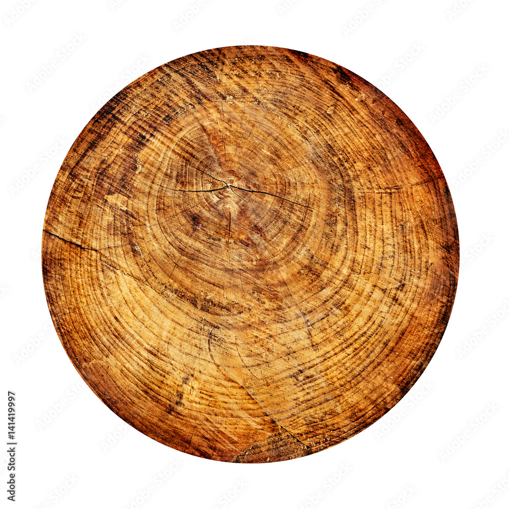 Wooden stump isolated on the white background. Round cut down tree with ...