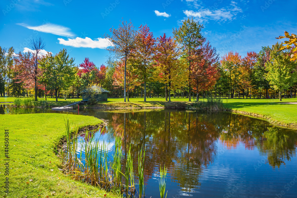 Nice park Stock Photo | Adobe Stock