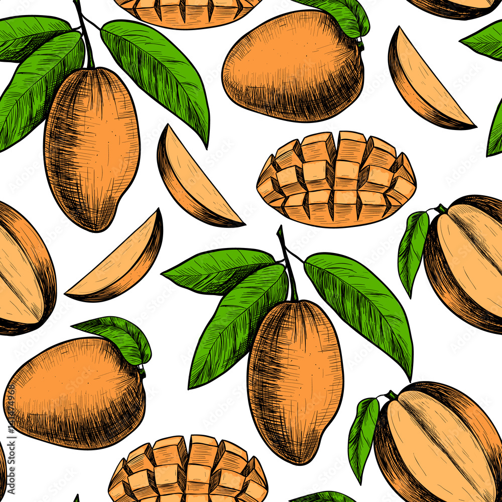 Vector mango hand drawn sketch . Sketch vector food illustration ...