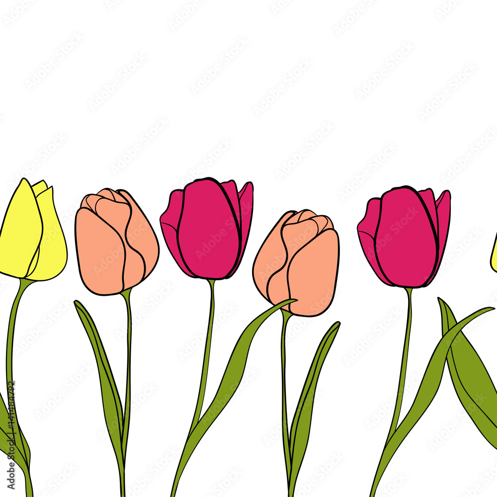 Tulip flower border background vector Stock Vector | Adobe Stock