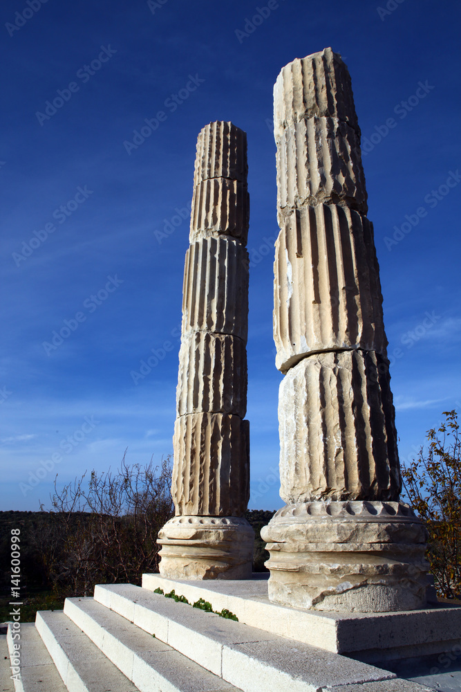 The ruins of a temple dedicated to Apollo, "Lord of Mice" Smitheus, are ...