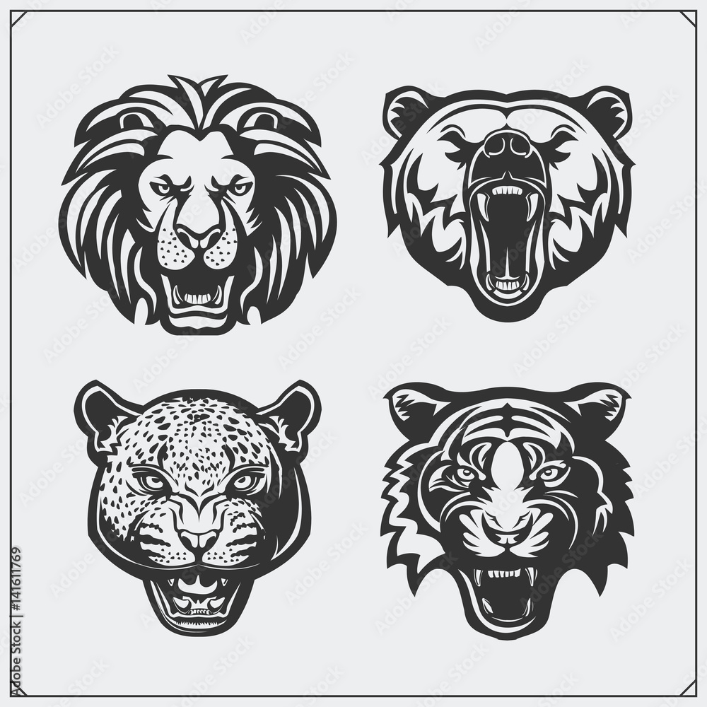 Illustrations of wild animals. Bear, lion, leopard and tiger. Stock ...