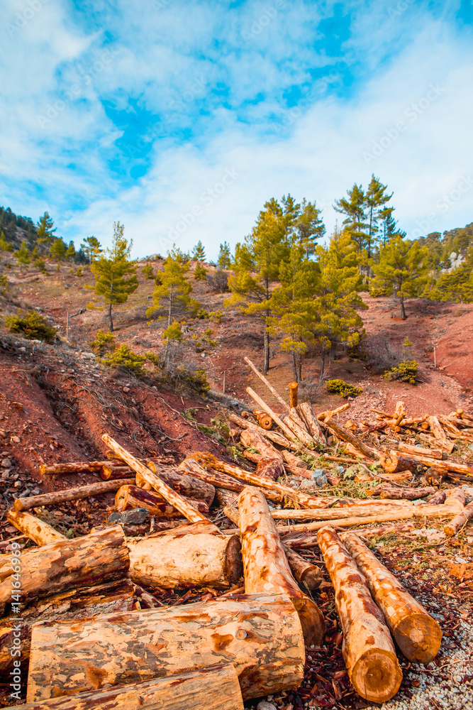 Deforestation environmental problem, forest destroyed for hydroelectric ...